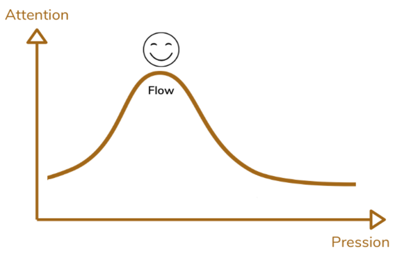 les 11 principes de l'accelerative learning - Risu Formation