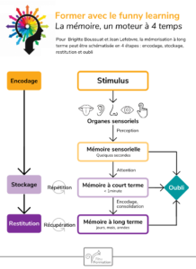 La mémoire, un moteur à quatre temps - Risu Formation